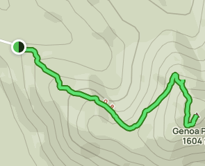 Genoa Peak Walk: 76 Reviews, Map - Victoria, Australia | AllTrails
