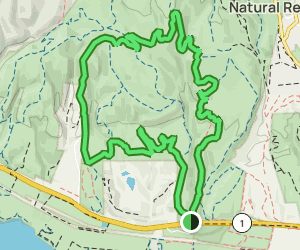 Wilder Ranch Loop: 64 Reviews, Map - California | AllTrails