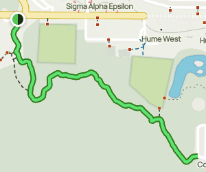 Lake Alice Conservation Area Trail: 7 Reviews, Map - Florida | AllTrails