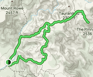 The Pinnacles Loop Track: 241 Reviews, Map - Waikato, New Zealand | AllTrails