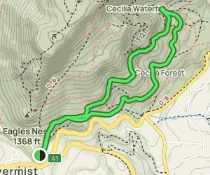 Constantia Nek to Cecilia Forest via Contour Path - Western Cape, South ...