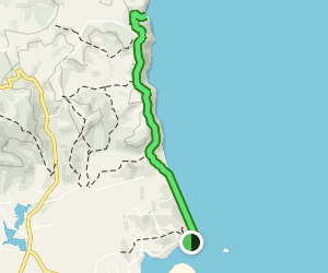 Mangawhai Cliffs Walkway: 277 Reviews, Map - Northland, New Zealand ...