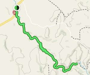 Blue Spring via Te Waihou Walkway from Whites Road: 250 Reviews, Map ...