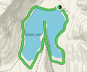 Moke Lake Loop Track: 243 Reviews, Map - Otago, New Zealand | AllTrails