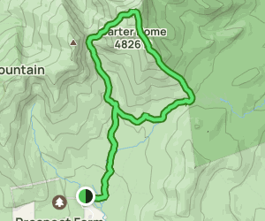 Carter Dome Trail: 97 Reviews, Map - New Hampshire | AllTrails