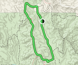 Bane Canyon Short Loop Trail: 747 Reviews, Map - California | AllTrails