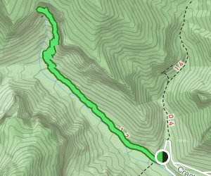 Mary Jane Falls Trail: 4240 Reviews, Map - Nevada | AllTrails