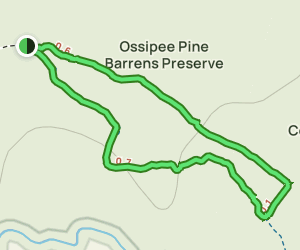 Ossipee Pine Barrens Preserve Loop: 54 Reviews, Map - New Hampshire ...