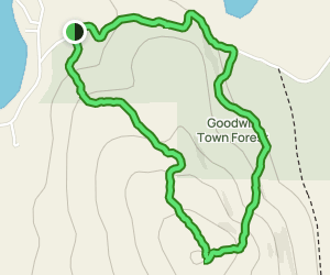 Goodwin Town Forest Loop: 9 Reviews, Map - New Hampshire | AllTrails