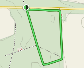 Mote Park - Bluebell Loop: 8 fotos - County Roscommon, República da ...