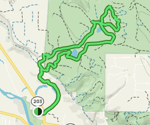 Middle Trail and Beaver Ponds Trail Loop: 115 foton – Washington ...