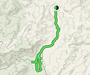 Nikau Walk and Kaniwhaniwha Cave: 147 Reviews, Map - Waikato, New ...