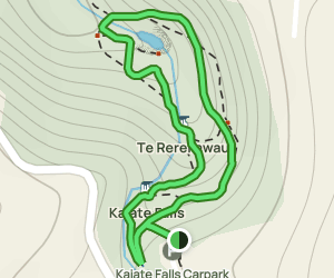 Kaiate Falls Walk: 105 Reviews, Map - Bay of Plenty, New Zealand ...