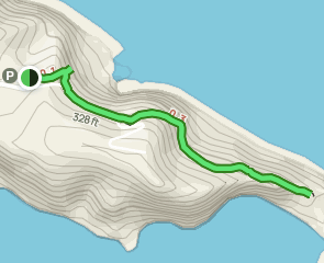 Nugget Point Lighthouse Walk, Otago, New Zealand - 114 Reviews, Map ...