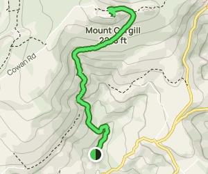 Mount Cargill Walk: 127 Reviews, Map - Otago, New Zealand | AllTrails