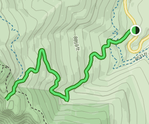 Tree Spring Trail: 1145 Reviews, Map - New Mexico | AllTrails
