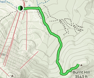 Burnt Mountain Trail: 431 Reviews, Map - Maine | AllTrails