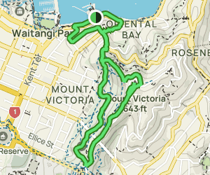 Mount Victoria Loop: 229 Reviews, Map - Wellington, New Zealand | AllTrails