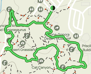 Arizona Sonora Desert Museum Trail, Arizona - 74 Reviews, Map | AllTrails