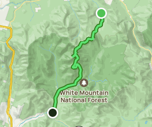 Zealand Bonds Traverse: 496 Reviews, Map - New Hampshire | AllTrails