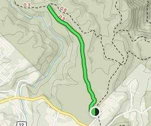 Timber Ridge Trail: 139 Reviews, Map - West Virginia | AllTrails
