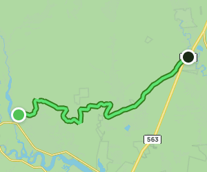 Batona Trail: Batsto to Rt 563: 75 Reviews, Map - New Jersey | AllTrails