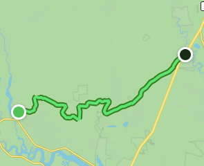 Batona Trail: Batsto to Rt 563, New Jersey - 78 Reviews, Map | AllTrails