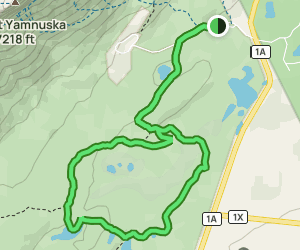 Yamnuska Nature Trail: 115 Reviews, Map - Alberta, Canada | AllTrails