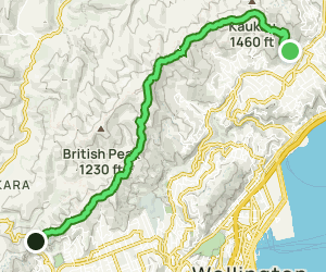 Skyline Track: Khandallah to Makara Road: 226 foto's - Wellington, New ...