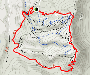 Te Mata Trust Park Giant Circuit - Hawke's Bay, New Zealand | AllTrails