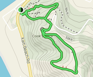 Titirangi Domain (Kaiti Hill) Track: 36 Reviews, Map - Gisborne, New ...