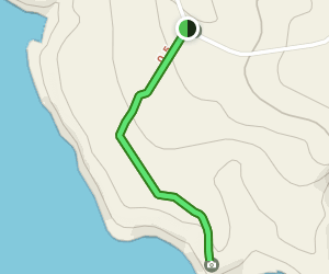 Slope Point Walk: 54 Reviews, Map - Southland, New Zealand | AllTrails