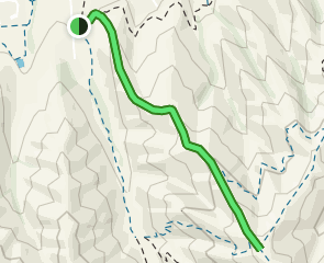Mount Vernon Track, Marlborough, New Zealand - 95 Reviews, Map | AllTrails