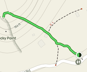 Cape Palliser Lighthouse Walk: 36 Reviews, Map - Wellington, New ...