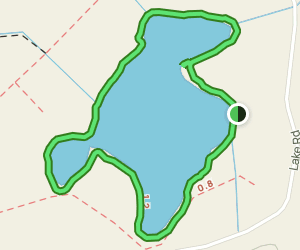 Kainui Lake Loop: 58 Reviews, Map - Waikato, New Zealand | AllTrails