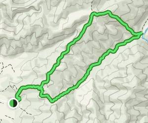 Dobson Loop Track: 34 Reviews, Map - Wellington, New Zealand | AllTrails