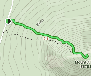 AllTrails | Mount Albert Summit Track: 28 Reviews, Map - Tasmania ...
