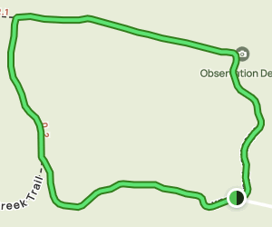 Pitcher Plant Trail: 186 Reviews, Map - Texas | AllTrails