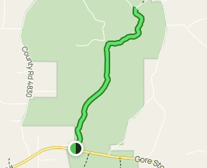 Big Thicket Turkey Creek Trail via Gore Road: 100 fotos - Texas | AllTrails