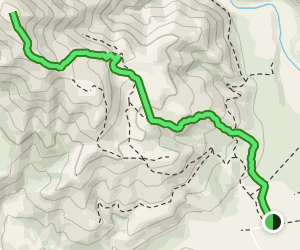 Mt Alford Track: 38 Reviews, Map - Canterbury, New Zealand | AllTrails