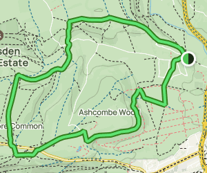 Ranmore Common Circular: 42 Reviews, Map - Surrey, England | AllTrails