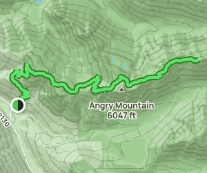 Angry Mountain Trail #90: 16 Reviews, Map - Washington | AllTrails