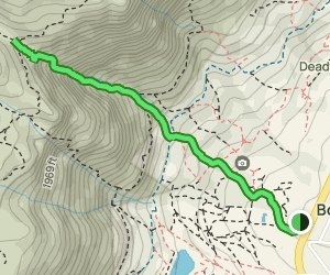 Skeleton Gorge: 206 Reviews, Map - Western Cape, South Africa | AllTrails