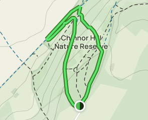 Chinnor Hill Short Circular, Oxfordshire, England - 7 Reviews, Map ...