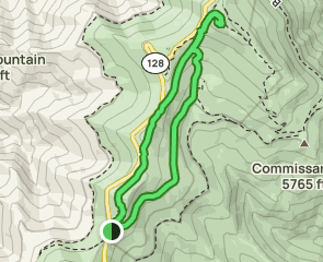 Camp Alice to Mount Mitchell Summit Trail: 2.046 fotos - Carolina do ...