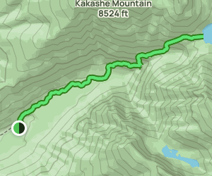 Lucifer Lake: 73 Reviews, Map - Montana | AllTrails