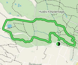 Nøgenbjerg Husby Kiltplantage: 29 Reviews, Map - Central Denmark ...