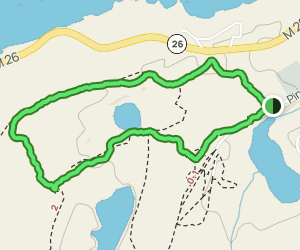 Pine Grove Trail Loop: 4 Reviews, Map - Michigan | AllTrails