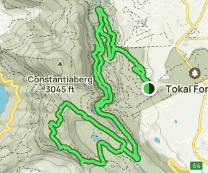 Tokai Forest to Silvermine Dam: 4 Reviews, Map - Western Cape, South ...