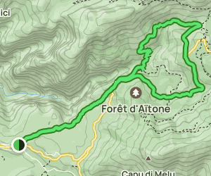 Forêt D Aïtone 86 Photos Corse Du Sud France Alltrails